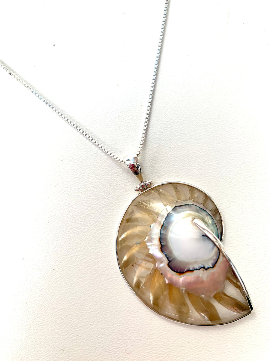 Silver Nautilus Shell Necklet – J.B. Gaynan & Son Ltd